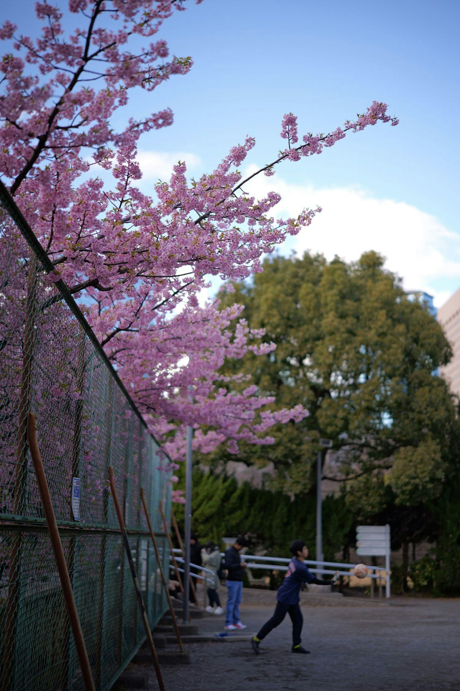 LUMIXコミュニティ